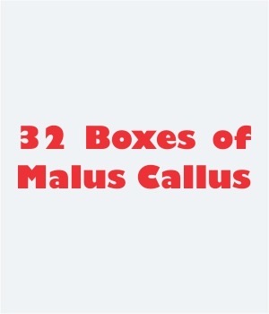 Phytocelllife-Green Apple and Red Grapes StemCell Malus Callus